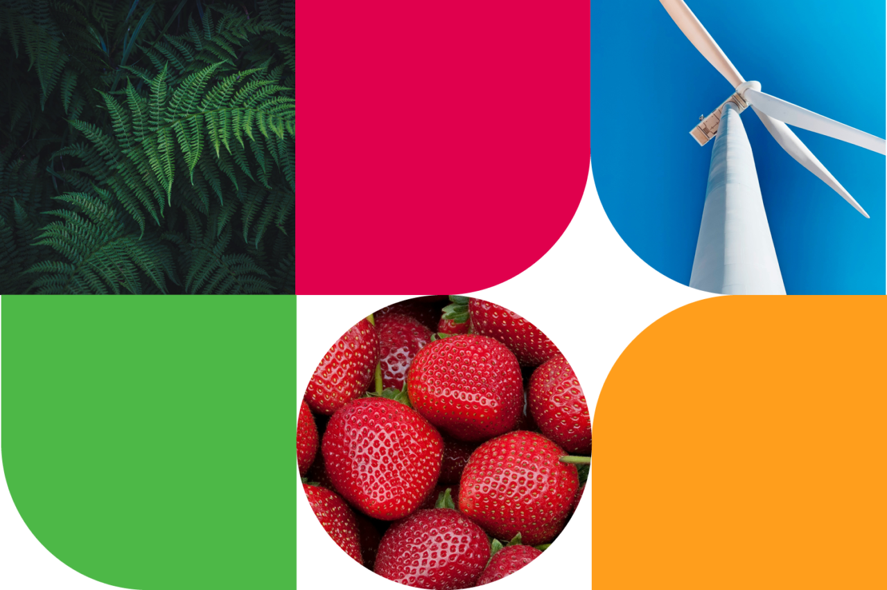 Focused Marketing - Green Grid Connect